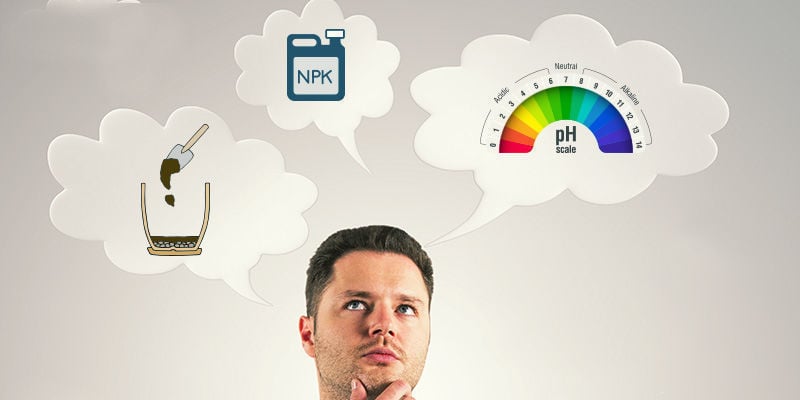 Growing Cannabis In Soil